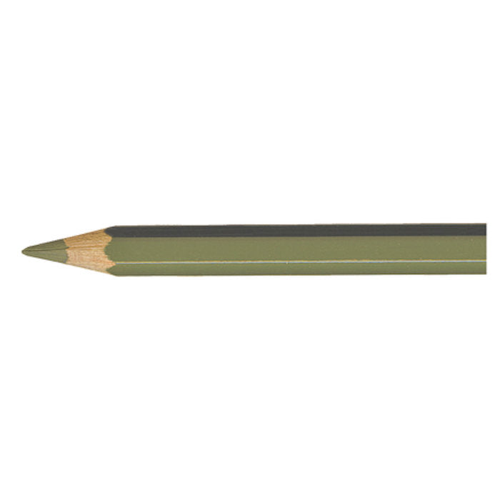 Supracolor OLIVE BLACK 019 Aquarelpotlood Caran d'Ache – Busch & van ...