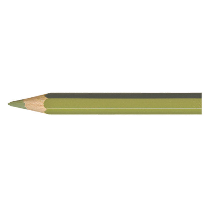 Supracolor OLIVE 249 Aquarelpotlood Caran d'Ache – Busch & van der Worp